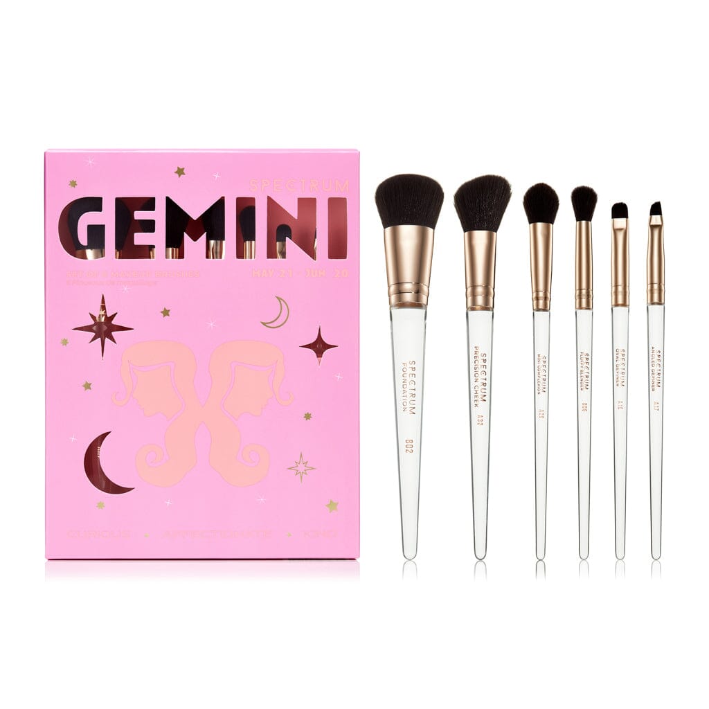 Gemini Zodiac 6 Piece Brush Set – Spectrum Collections